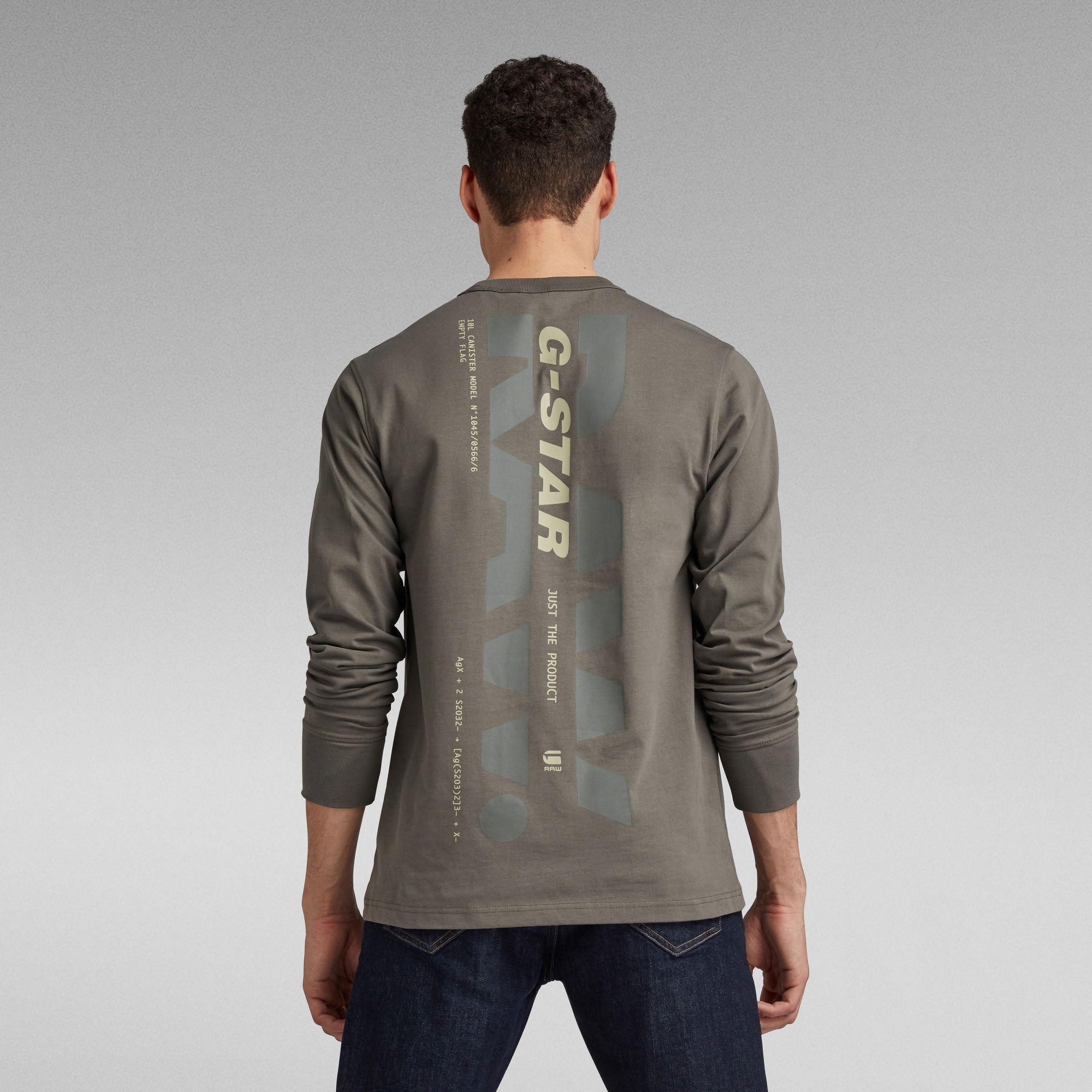 Big Back Graphic T-Shirt | Grey | G-Star RAW®